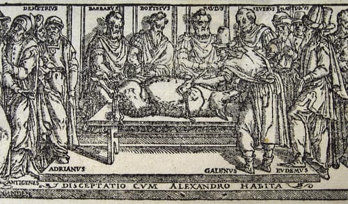 Staff Heritage Favourite: Andreas Vesalius – Heritage Blog