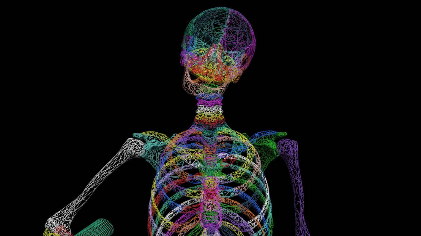 New Exhibition - "Our Science and Art: Visualising the Human Body ...